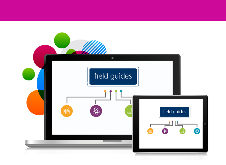 Field Guide Bundle Subscription – lead4ward